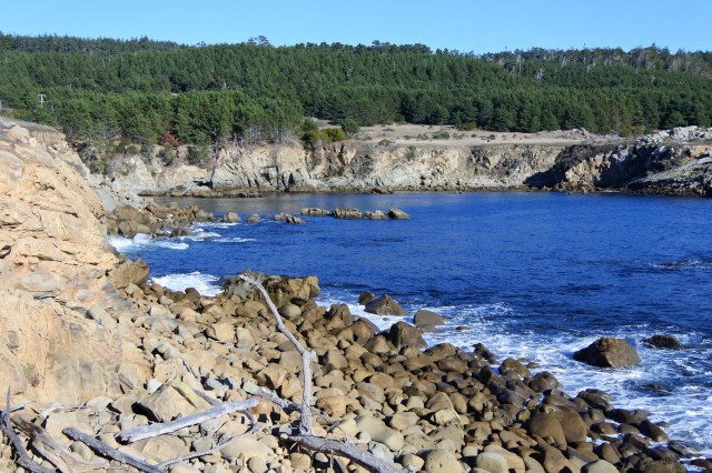 Celebrating Thanksgiving at Salt Point State Park – Weekend Campervanning