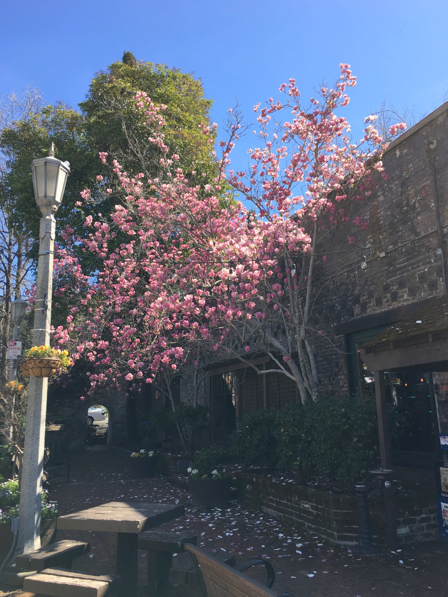 Exploring California’s Gold Rush Country – Weekend Campervanning