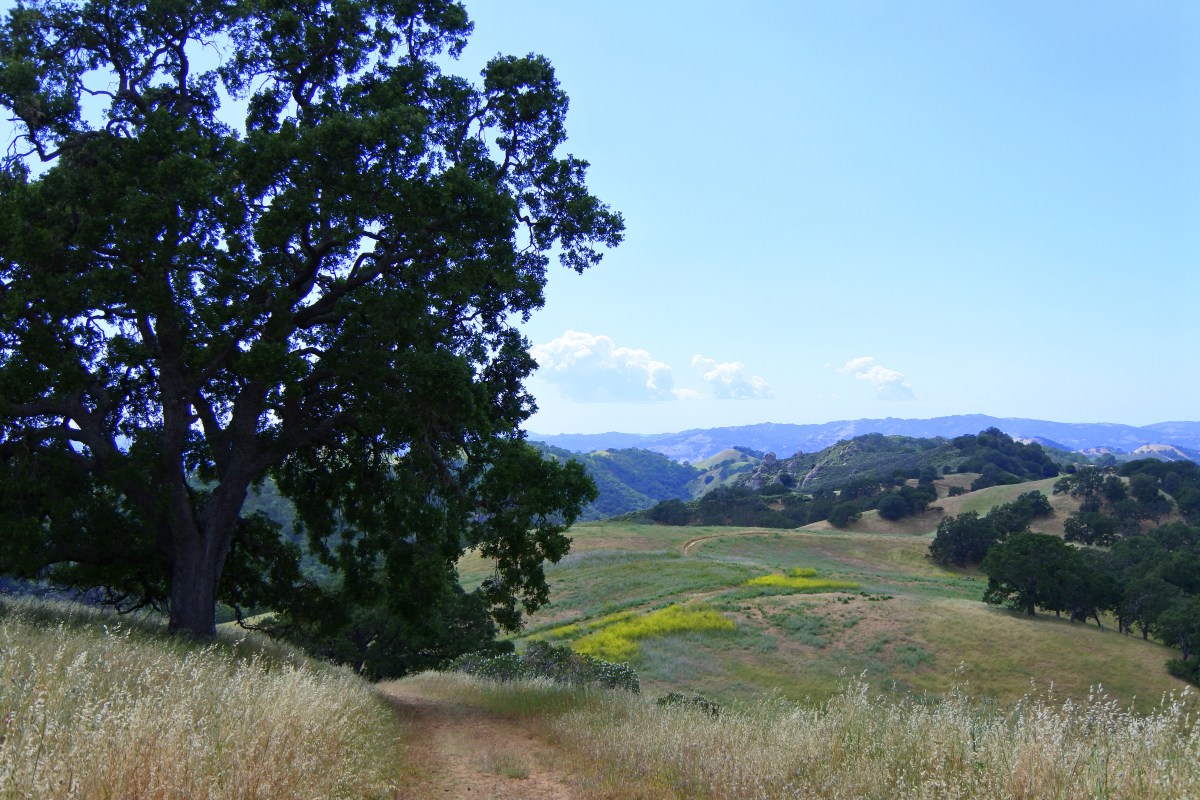 Mount Diablo State Park – Weekend Campervanning