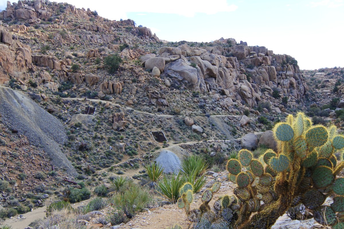 Desert Queen Mine Hike in Joshua Tree National Park – Weekend Campervanning