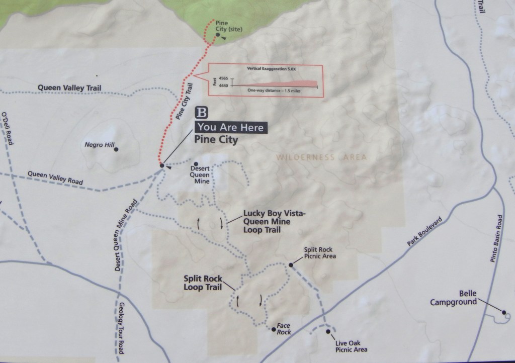Desert Queen Mine Hike in Joshua Tree National Park – Weekend Campervanning