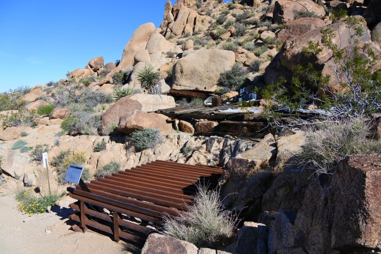 Mastodon Peak Hike in Joshua Tree National Park – Weekend Campervanning